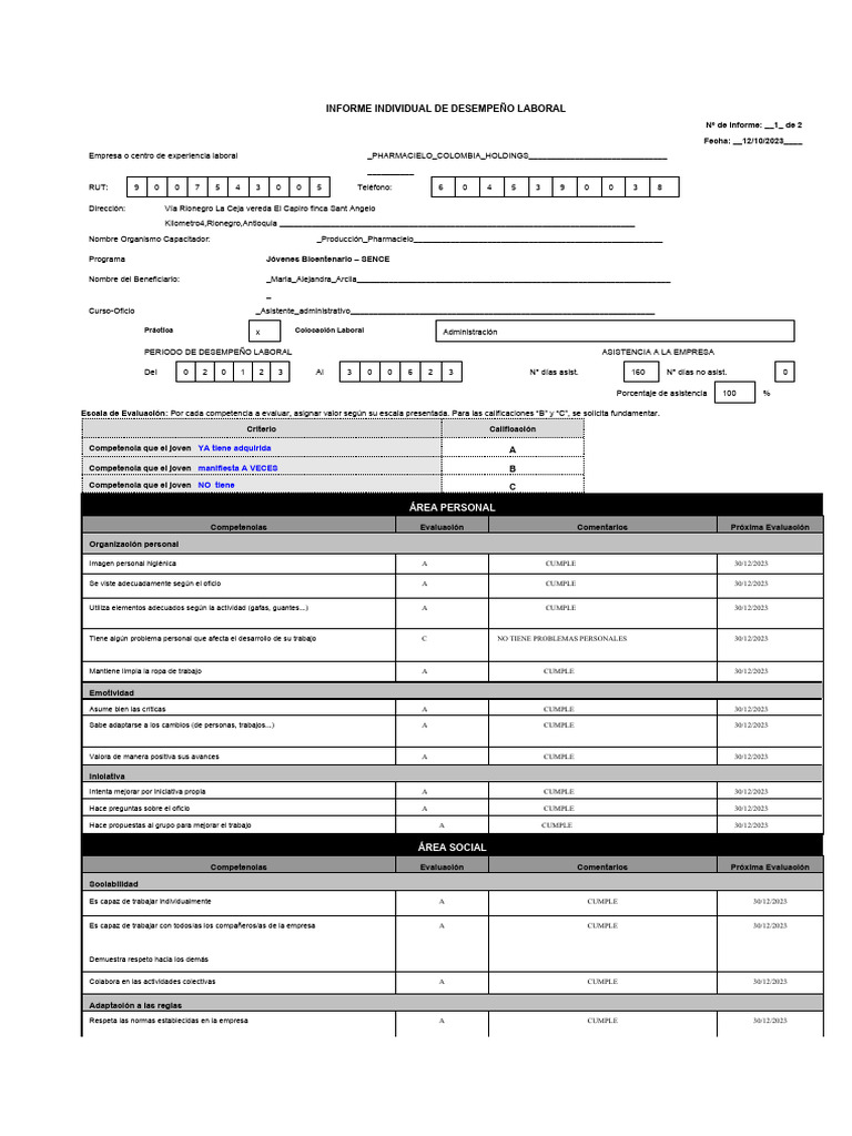 Anexo2 - Informe de Desempeno Laboral | PDF | Evaluación