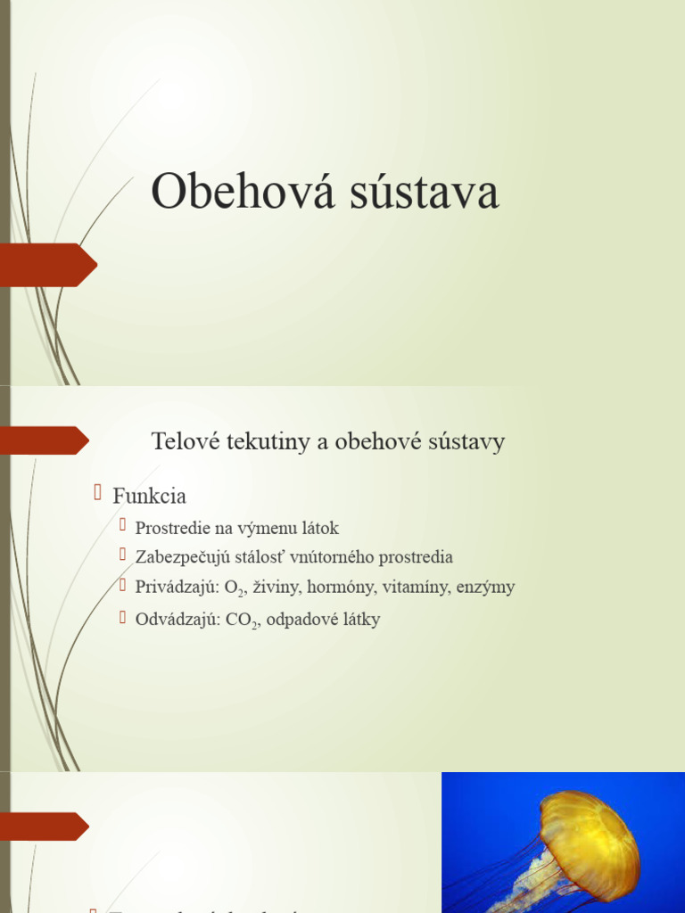 Obehova Sustava Final | PDF
