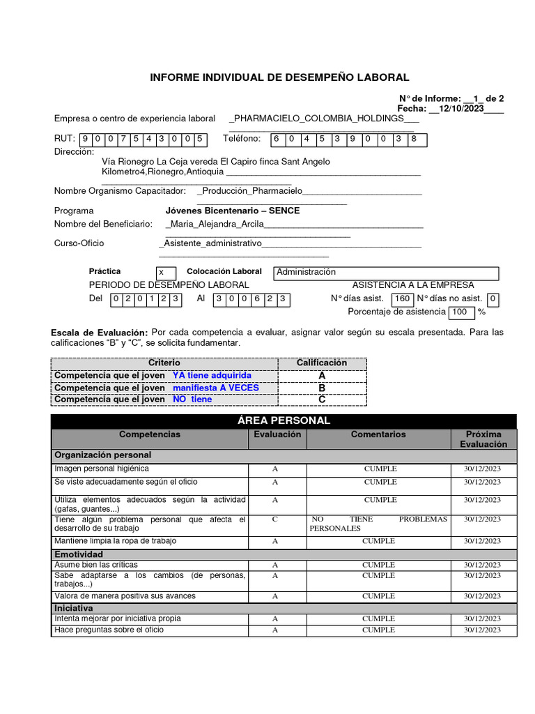 Anexo2 - Informe de Desempeno Laboral | PDF | Evaluación | Business