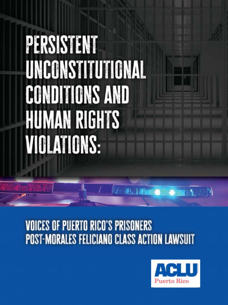 Human Rights Report On Puerto Rico Prisons | PDF