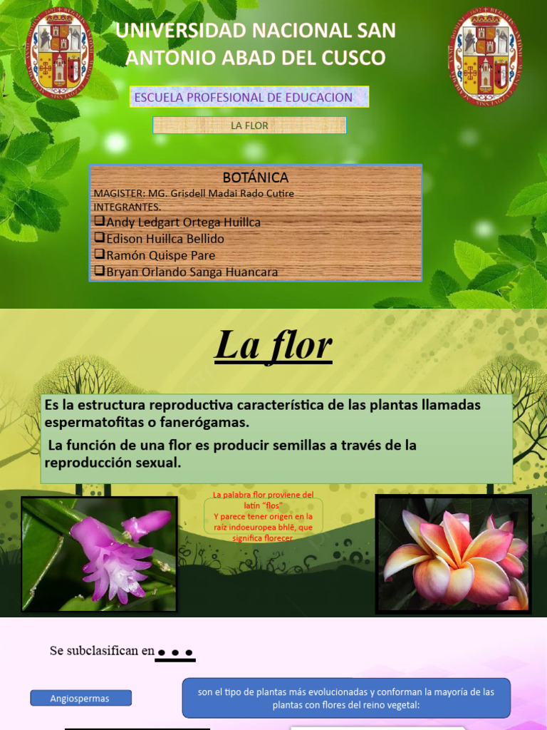 la flor | PDF