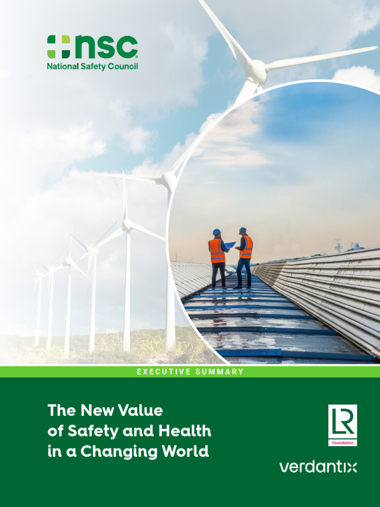 New Value of Safety - Executive Summary | PDF | Sustainability ...