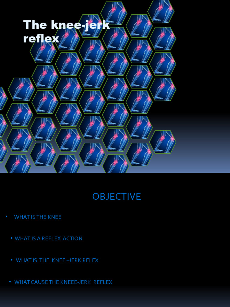 HSB Presentation | PDF