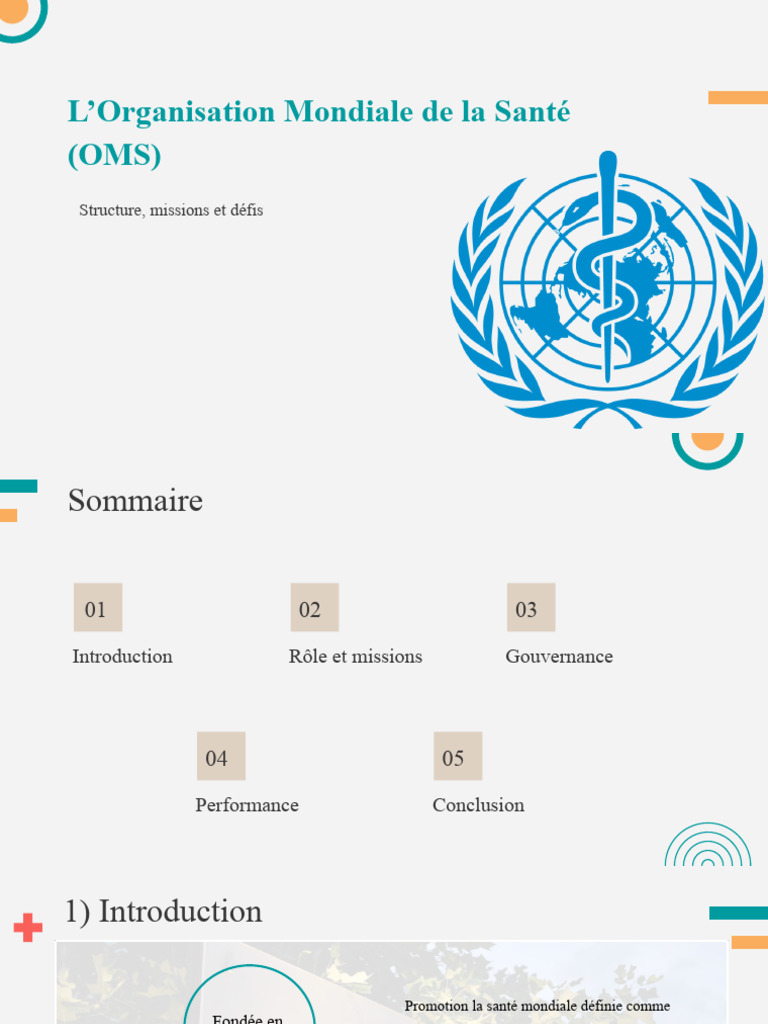 L'Organisation Mondiale de La Santé (OMS) : Structure, Missions Et ...