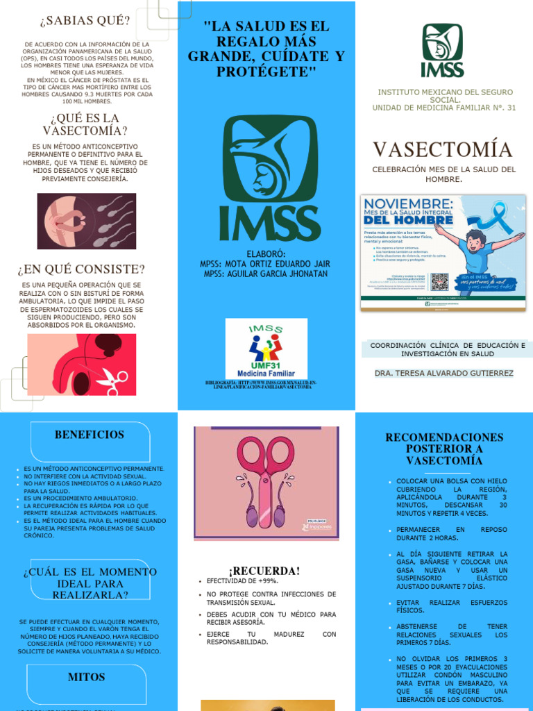 Tríptico-Vasectomia Mes Del Hombre | PDF | Condón | La sexualidad humana