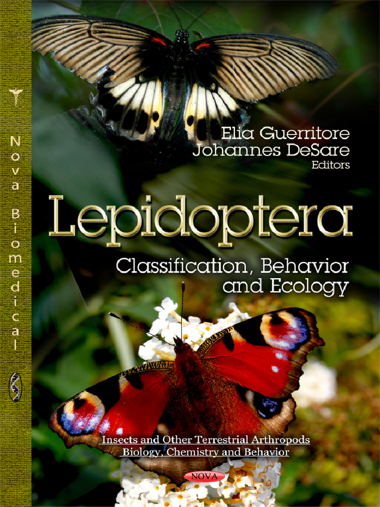 Lepidoptera | PDF