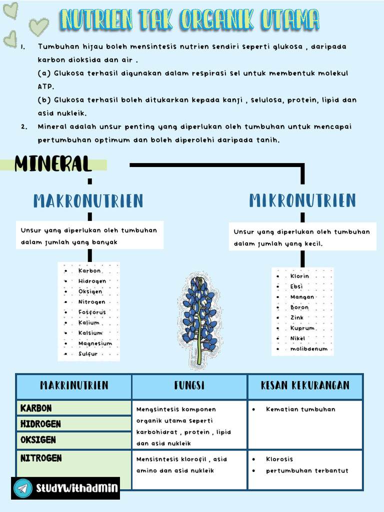 Bio B3 F5 Studywithadmin | PDF