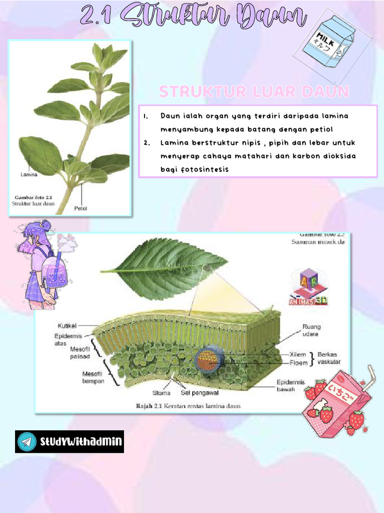 Bio B2 F5 Studywithadmin | PDF | Ilmu Sosial | Griya & Taman