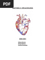 Netter Atlas de Anatomia Humana 7ma Edición | PDF | Corazón | Pelvis