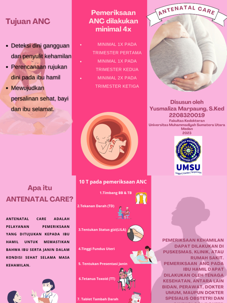 Anc Leaflet - Yusmaliza | PDF