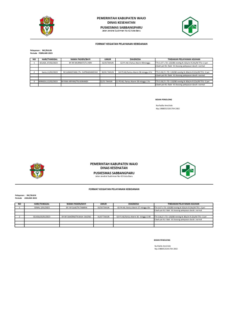 Format Pelayanan Kebidanan Bulin Bulan 1 | PDF