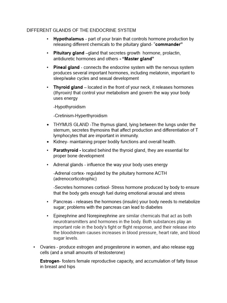 Different Glands of the Endocrine System | PDF | Endocrine System ...