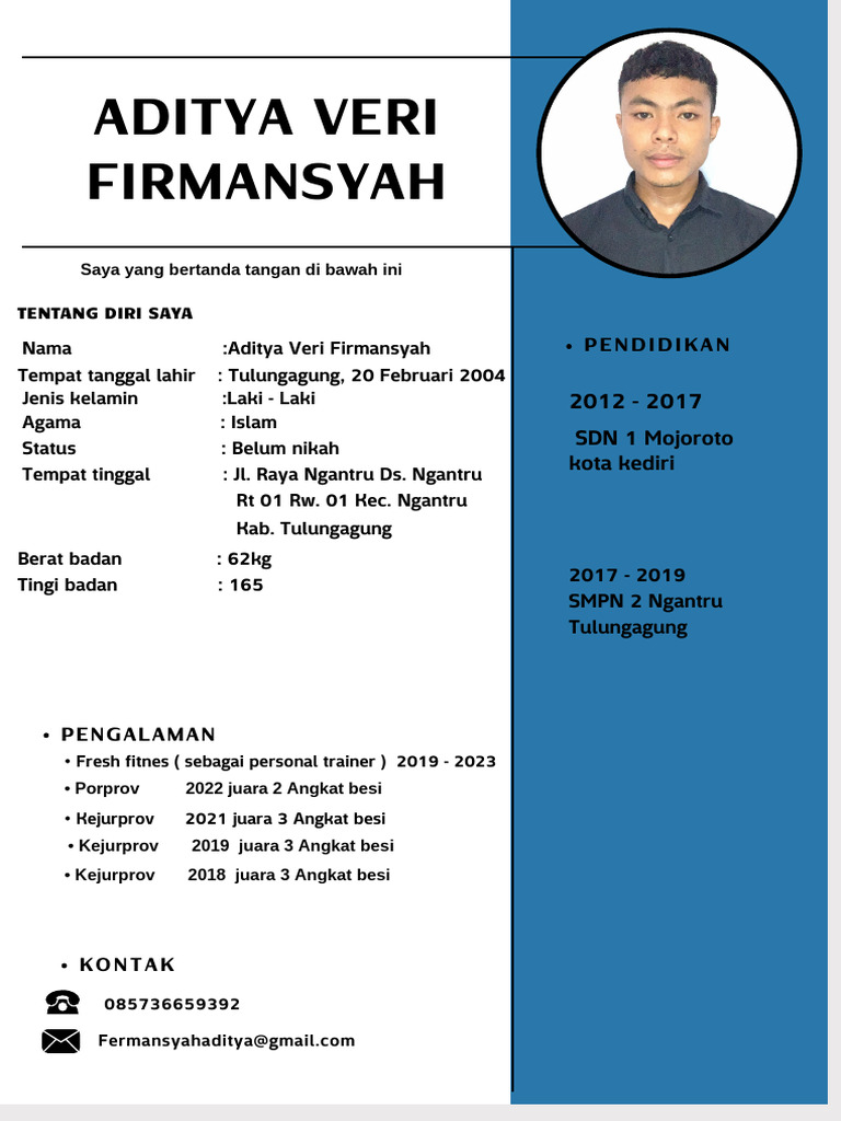 Blue Light Blue Color Blocks Flight Attendant CV 5 | PDF