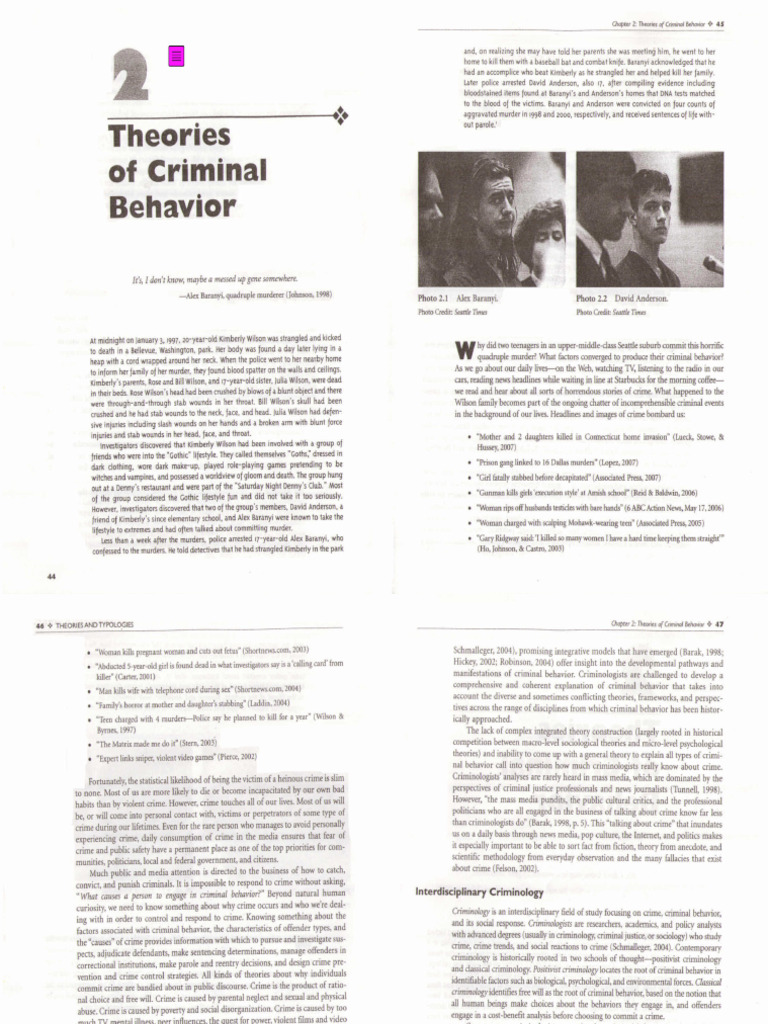Helfgott Theories of Criminal Behavior 2008 | PDF