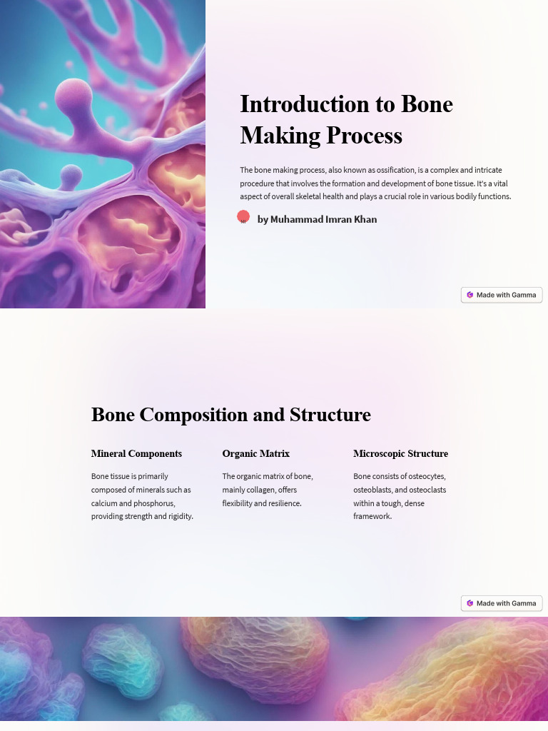 Introduction To Bone Making Process | PDF | Bone | Osteoblast