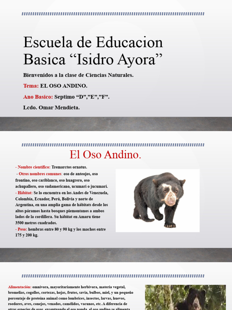 Omar 25 de Enero C.C.N.N | PDF | Osos | Organismos