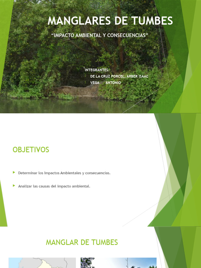Manglares de Tumbes | PDF