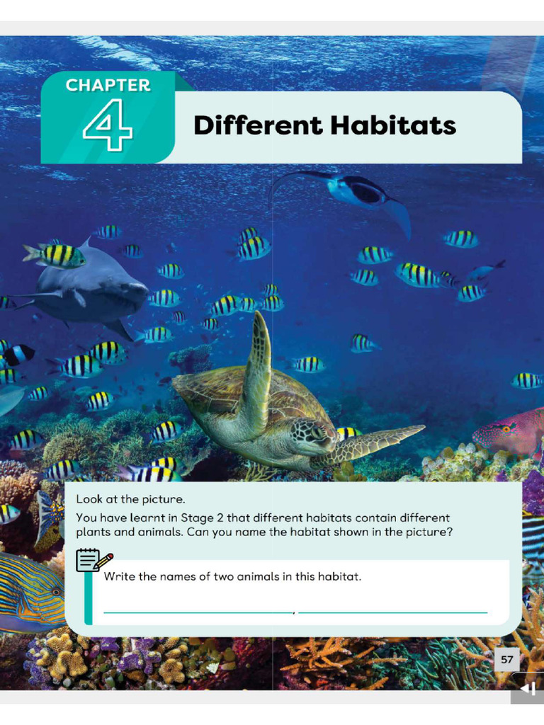 G4 Science Different Habitats | PDF