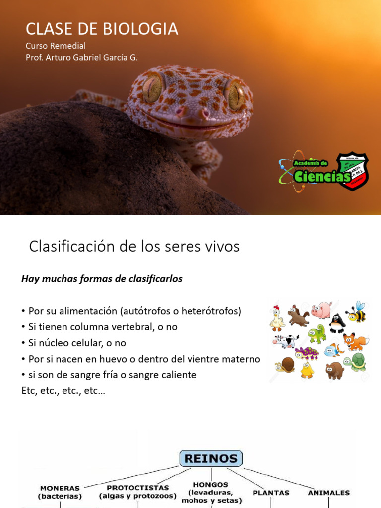 Clase Biologia 2 De 9 Pdf
