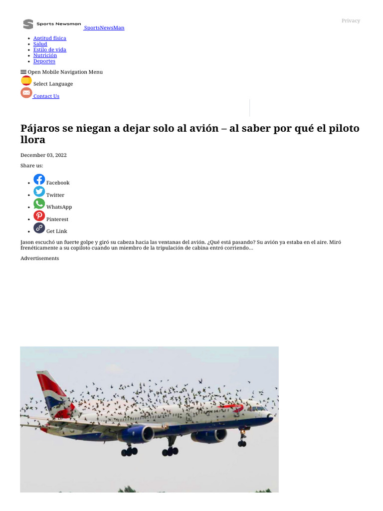 Pájaros Se Niegan A Dejar Solo Al Avión - Al Saber Por Qué El Piloto llora-SportsNewsMan | PDF ...