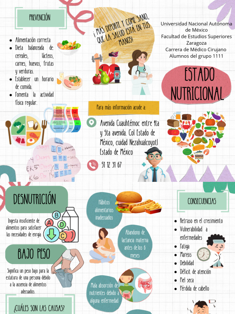 Desnutrición Pdf Dieta Alimentos