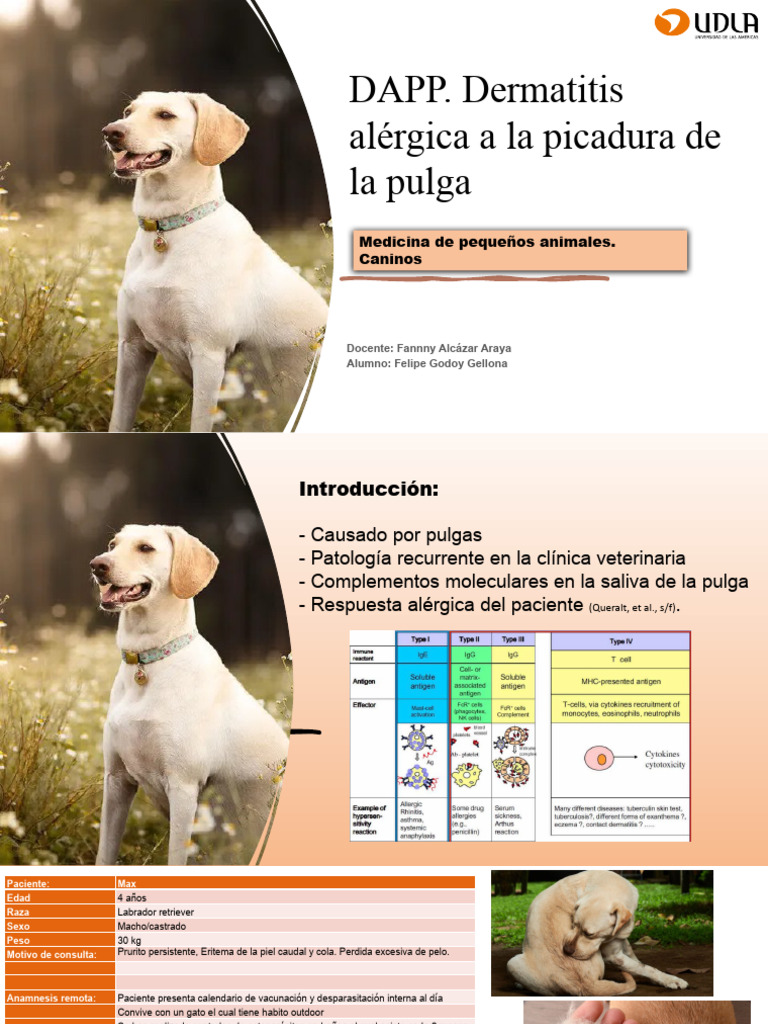 DAPP | PDF | Alergia | Medicina