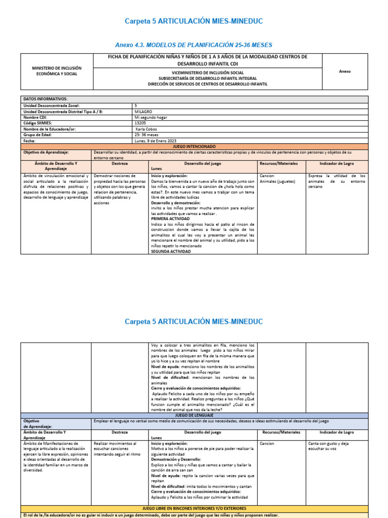 Planificacion Enero 9 Al 13 | PDF | Aprendizaje | Juguetes