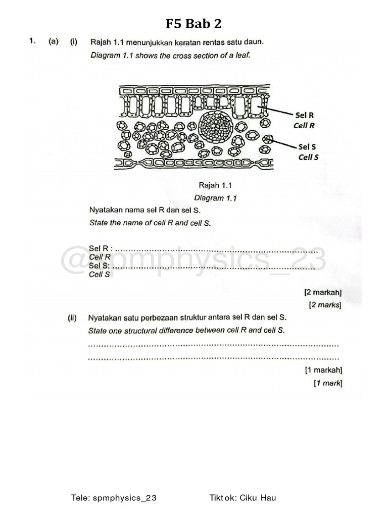 F5 Physics Chapters Overview | PDF | Wellness | Science & Mathematics