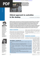 Donkey Reproductive Anatomy Overview | PDF | Vagina | Donkey