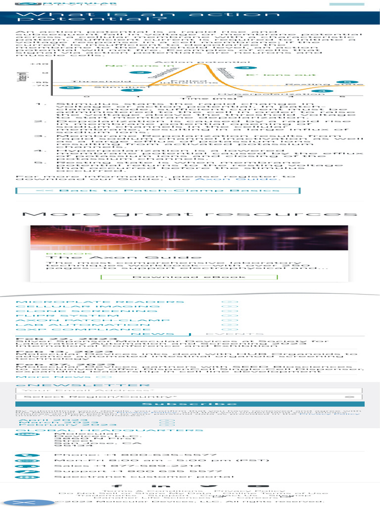 What Is An Action Potential, Action Potential Chart, Membrane Potential ...