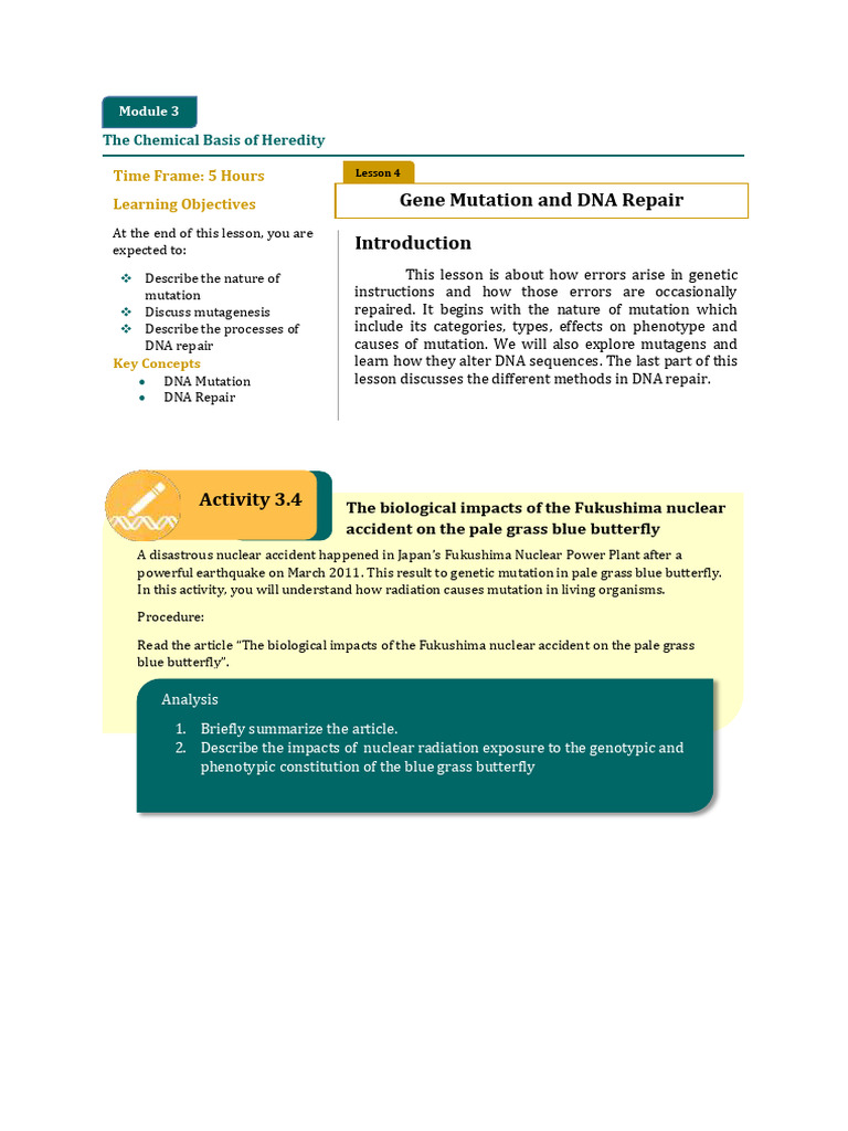 Genetics Module 3 Lesson 4 | PDF | Dna Repair | Point Mutation