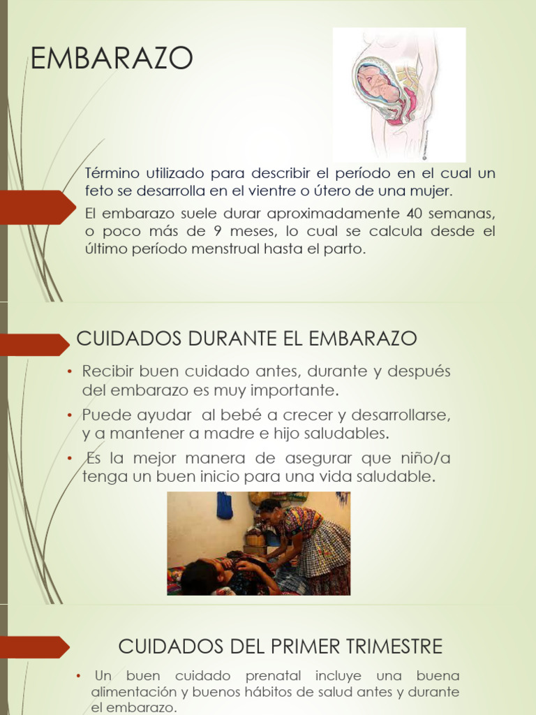 S3M1 Cuidados en El Embarazo | PDF | El embarazo | Especialidades Medicas