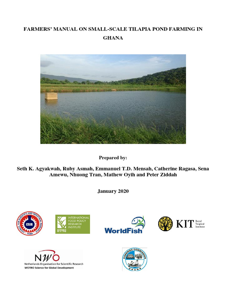 Fish Pond Setup 3 | PDF | Pond | Water