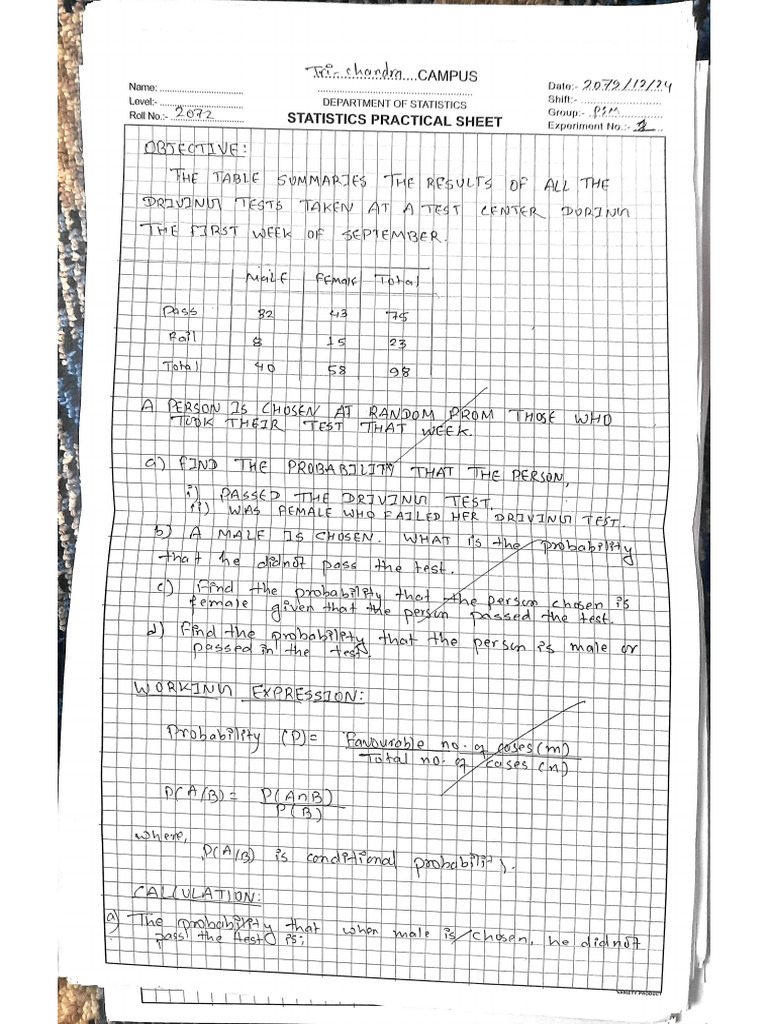 Sir Probability Practical | PDF