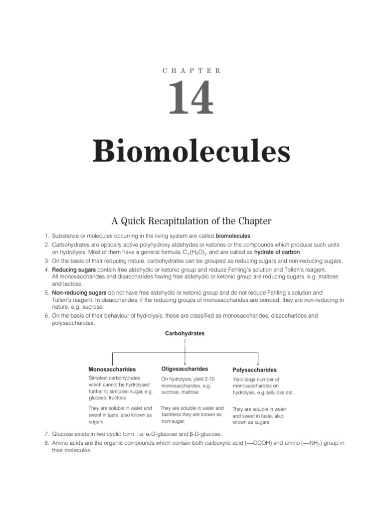Biomolecules | PDF | Carbohydrates | Nucleic Acids