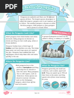 Life Cycle of Penguin | PDF | Penguin | Birds