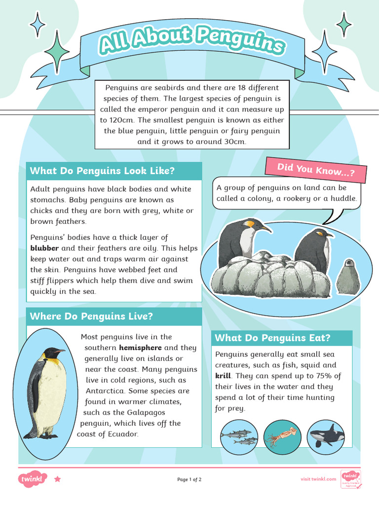 All About Penguins Differentiated Reading Comprehension | PDF