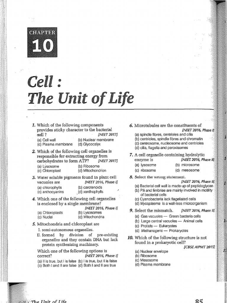 Cell The Unit of Life | PDF