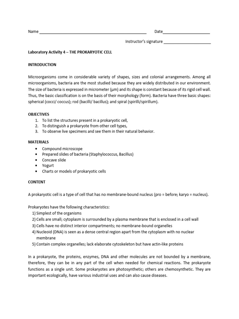 Gen Bio 1 Worksheet 4 | PDF | Cell (Biology) | Bacteria