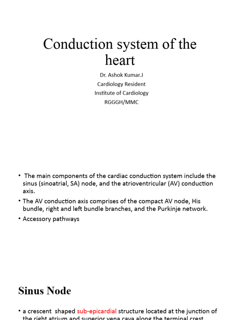 Conduction System of The Heart | PDF | Atrium (Heart) | Ventricle (Heart)