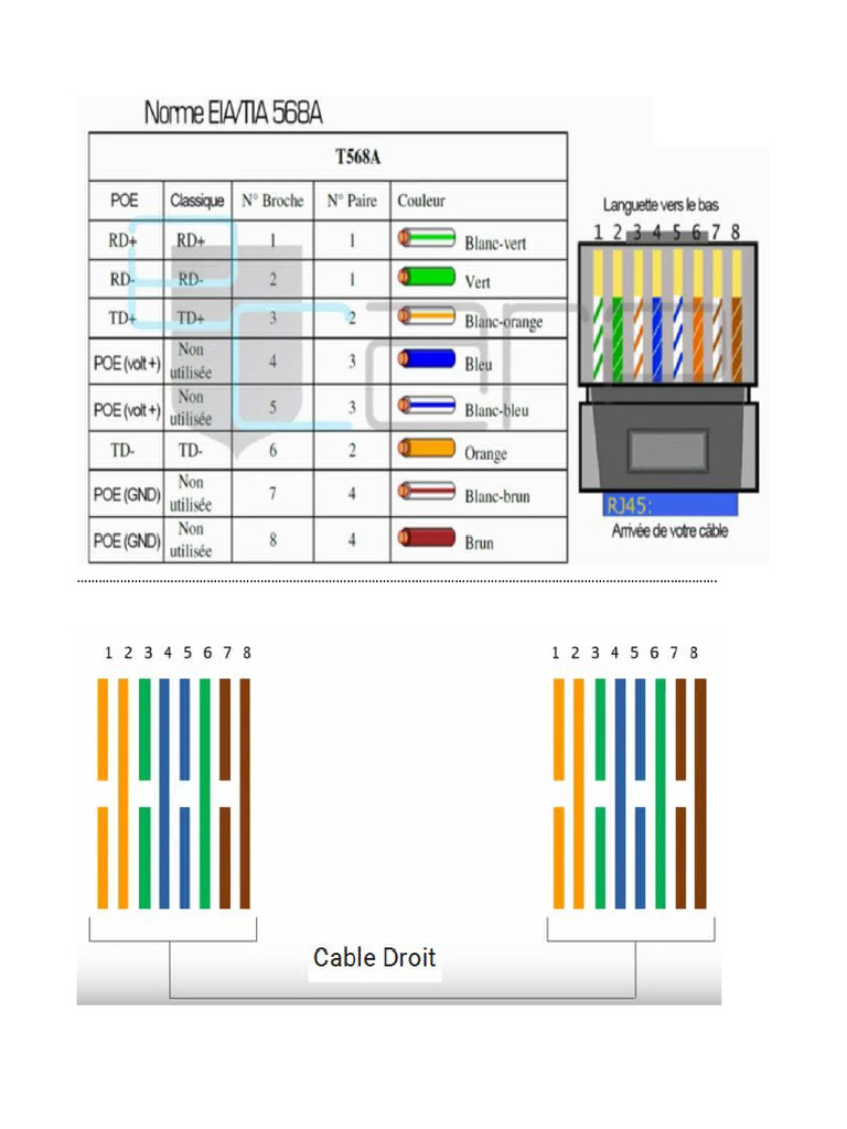 Différence Entre Cable Droit Et Cable Croisé | PDF