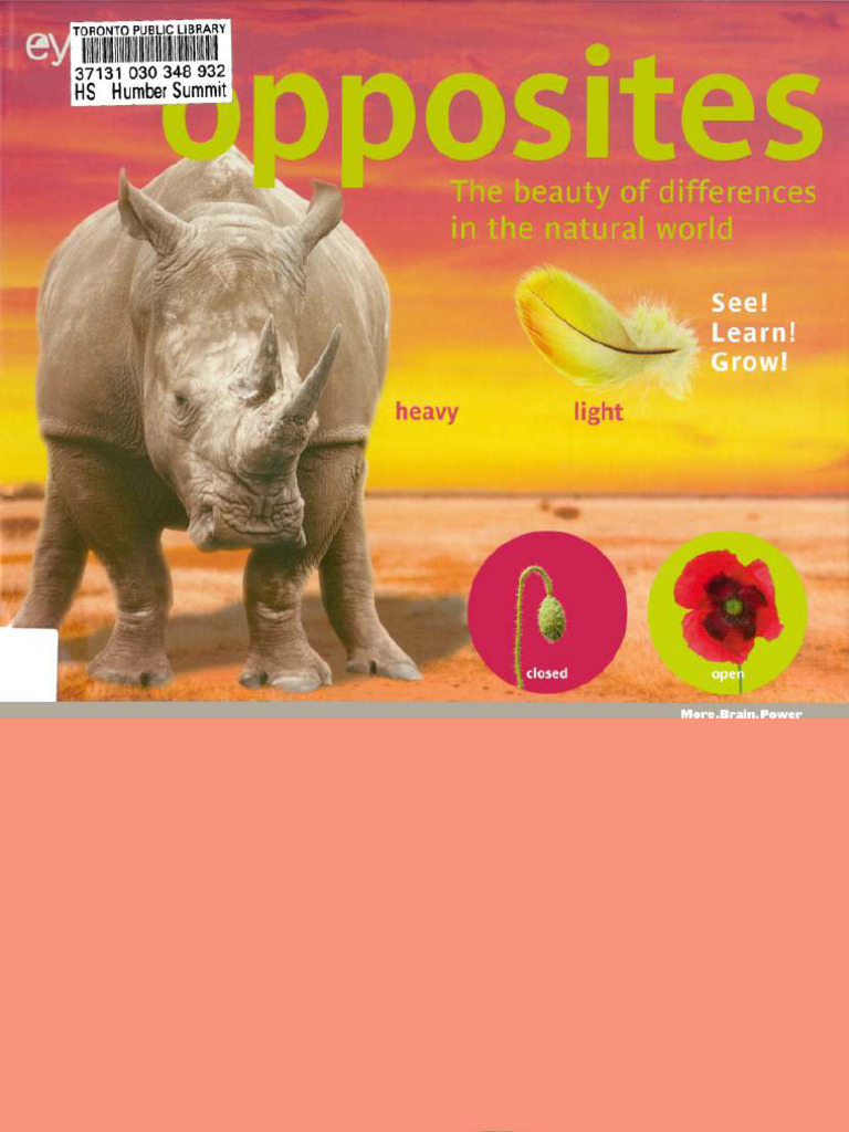 See Learn Grow Opposites | PDF