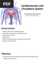 Circulatory System of Frog | PDF | Heart | Atrium (Heart)