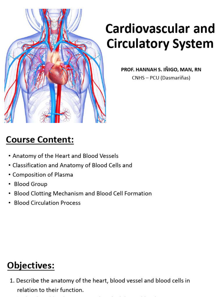 Cardiovascular and Circulatory System | PDF | Heart Valve | Heart