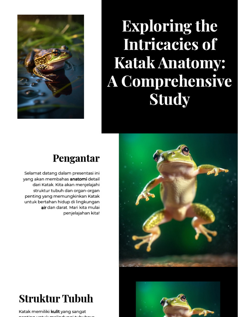 Wepik Exploring The Intricacies of Katak Anatomy A Comprehensive Study ...