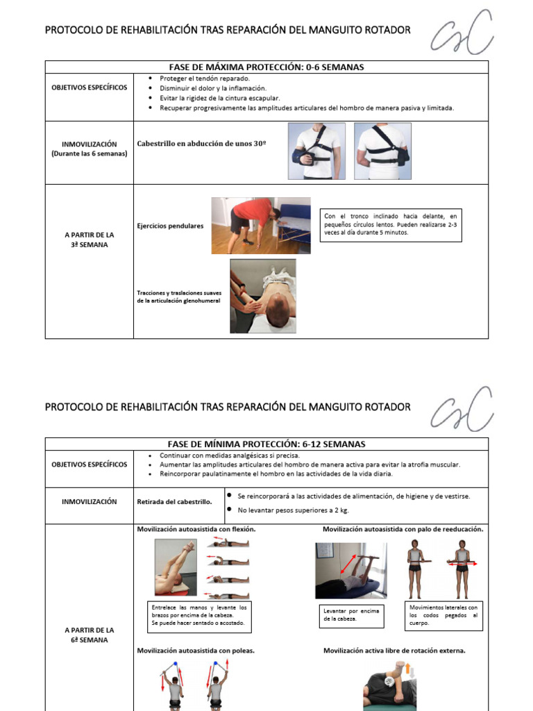 Rehabilitación Manguito Rotador: Protocolo Completo | PDF | Hombro | Anatomía