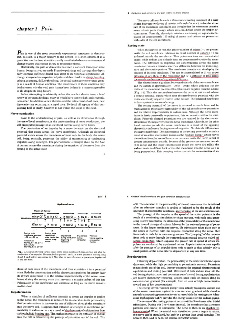 Monheim Chapter 1 | PDF