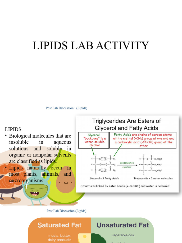 LIPIDS | PDF