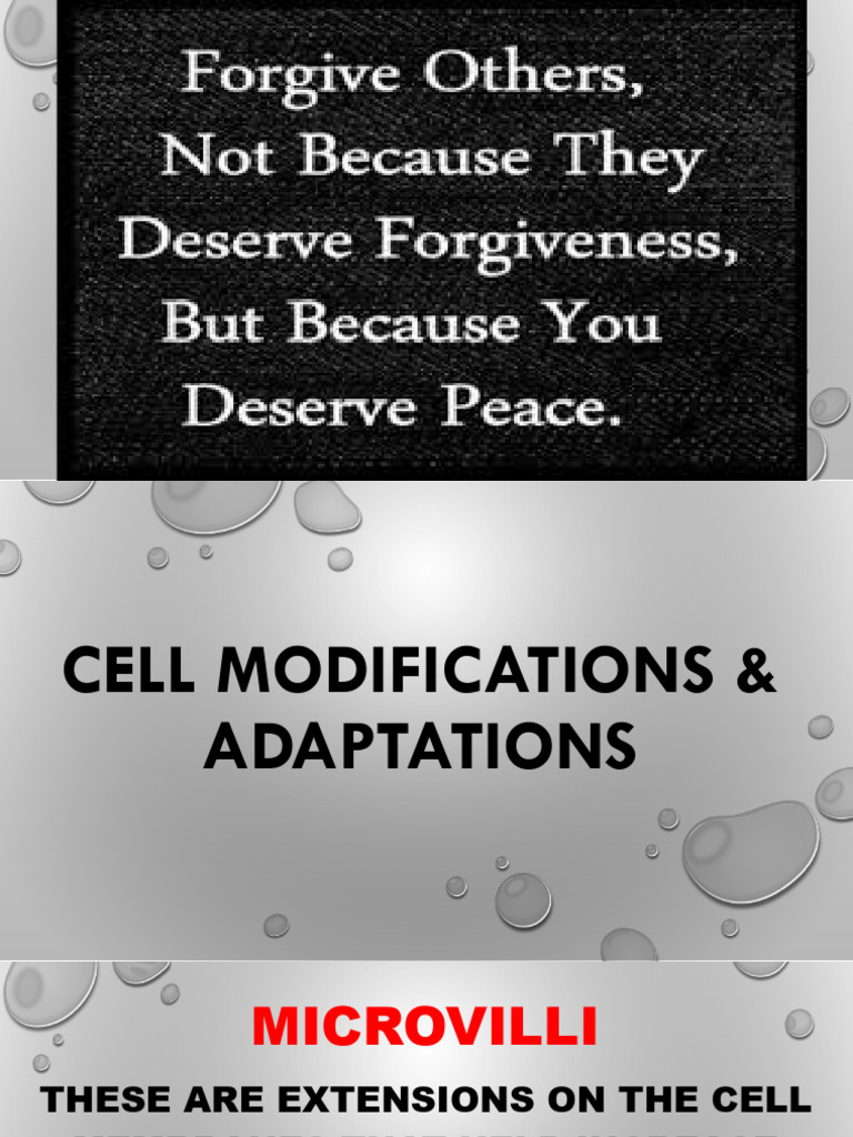 Cell Modifications Adaptations | PDF | Science & Mathematics