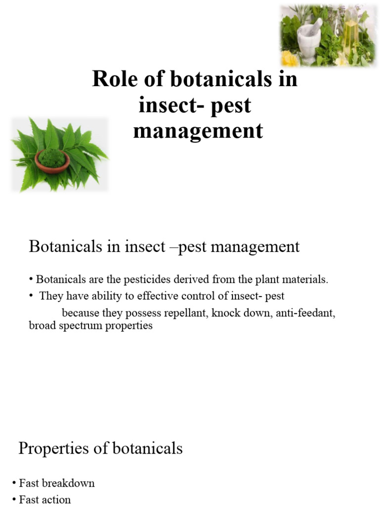 Botanical Insecticides for Pest Control | PDF | Pest (Organism) | Pest ...